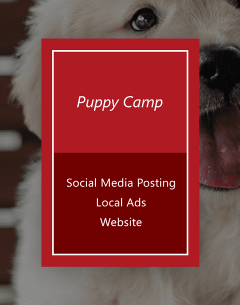 Our Work - Advent Media Group